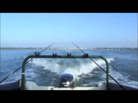 Evinrude 50HP ETEC