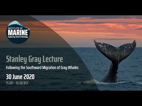 The Gray Whale Cycle – An account of my journey as I cycled alongside ...