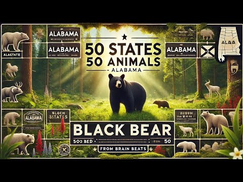 Alabama’s State Animal: The Black Bear 🐻