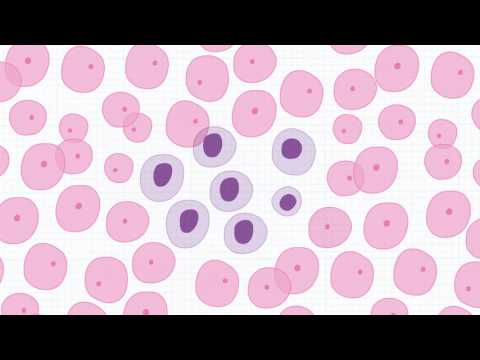 What is a smear test