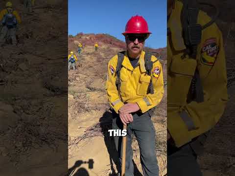 Palisades Fire Suppression Repair