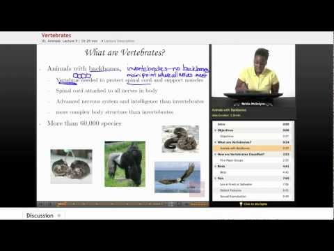 Life Science - Vertebrates