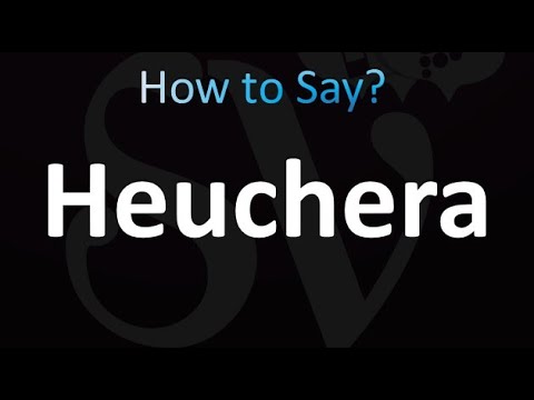 How to Pronounce Heuchera
