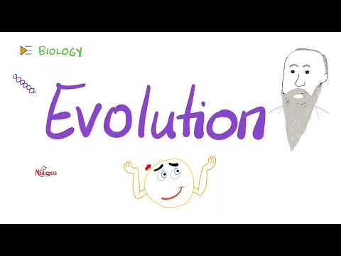 The Theory of Evolution - Biology 🧬