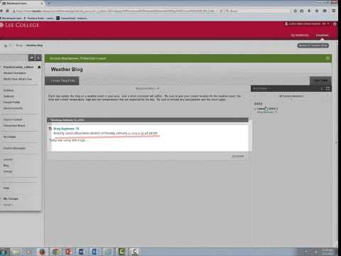 Blackboard Tutorial: Blog