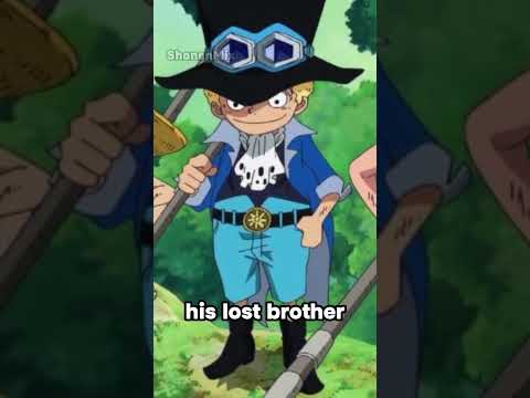 The Hidden Meaning Behind Ace's Tattoo???? #onepiece #anime