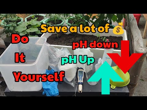 DIY Do It Yourself pH down and pH up | Save a lot of money | Hydroponics