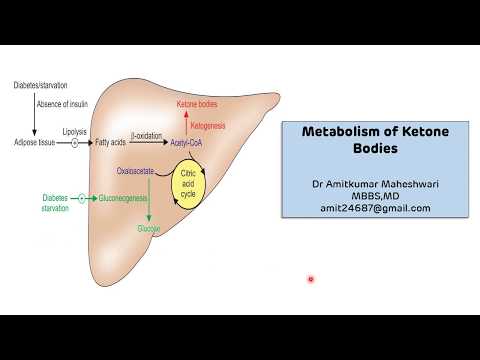 Ketone Bodies Metabolism || Ketogenesis || Ketosis || Biochemistry