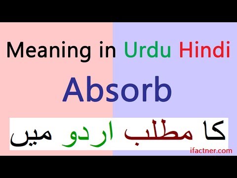 Absorb meaning in Urdu | English Urdu dictionary and translation