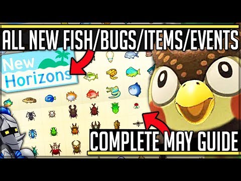 ALL New Bugs + Fish - Hemisphere Swap - May To-Do List - Animal Crossing: New Horizons! (Full Guide)