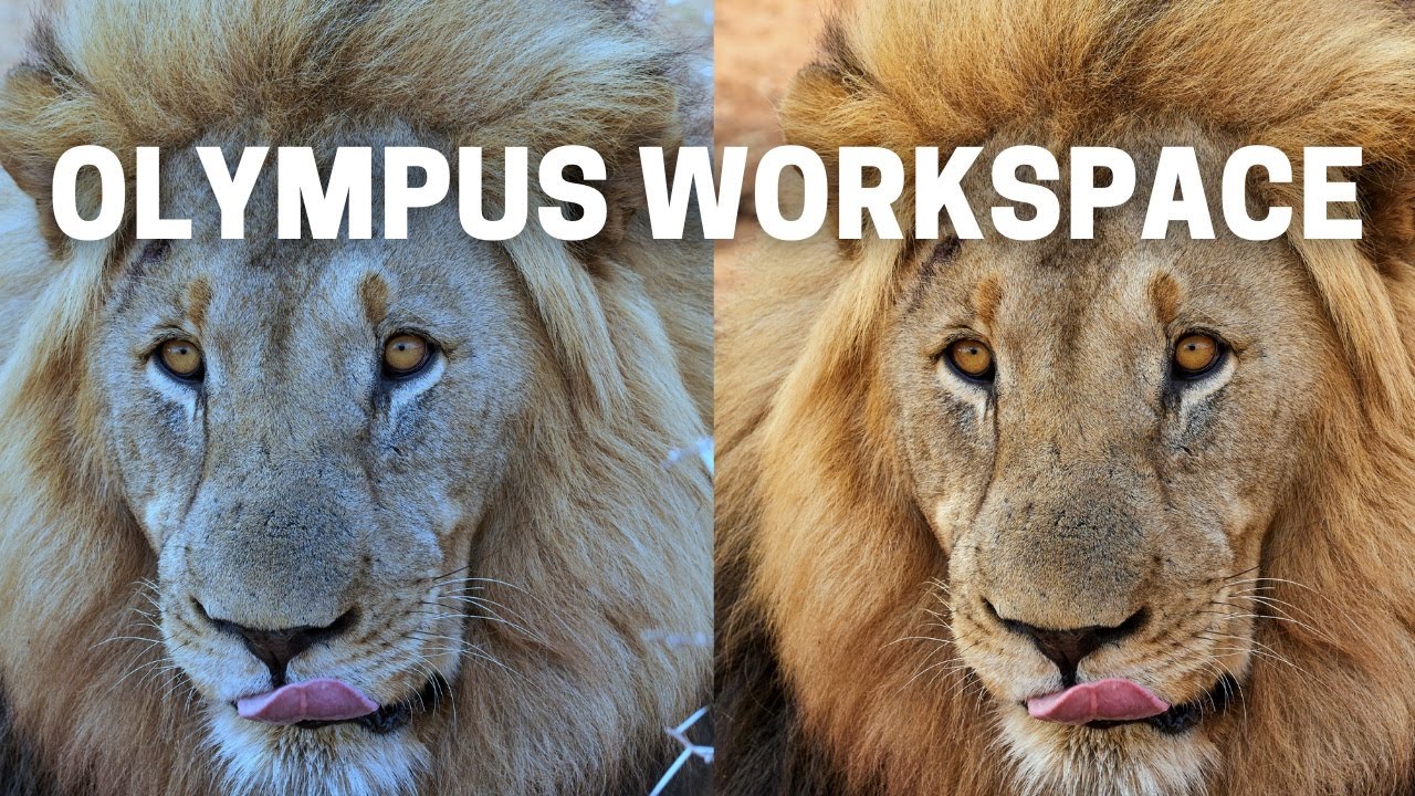 Olympus Workspace - Free & Powerful Editing Software For Beginners Using Olympus Cameras