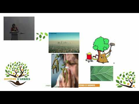 Histoire d'Arbres - Fonctions, rôles et bienfaits de l‘arbre en milieu urbain - Pauline Laïlle