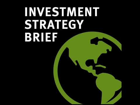 Investment Strategy Brief | June 2025