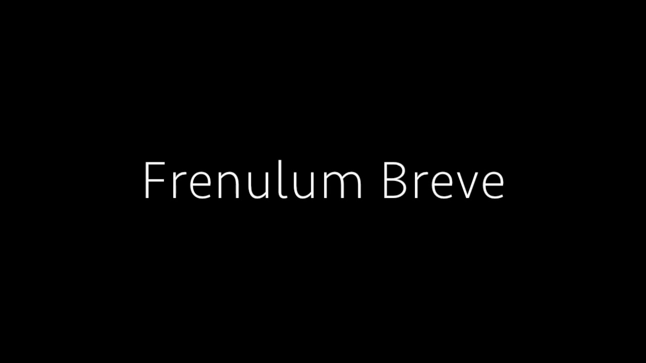 Frenuloplasty Blog Chapter 1 - Intro and Background Info