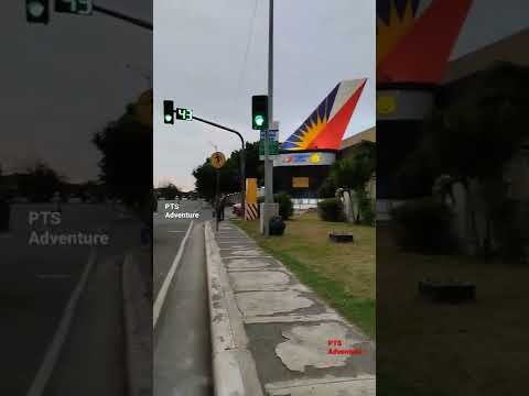 "True Story" A Real Airplane Tail Fin from Philippine Airlines| #shorts #philippines