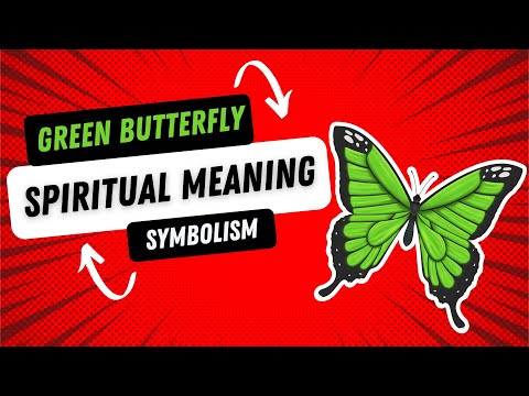 Green Butterfly Meaning: Spiritual Symbolism & Significance! #butterfly #symbolism