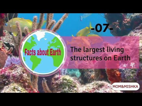 10 interesting facts about Earth | Facts about Earth | Our Planet Earth | All about Earth