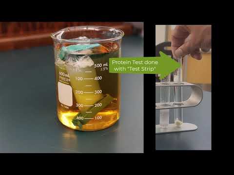 Dialysis Bag Experiment