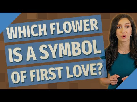 Which flower is a symbol of first love?