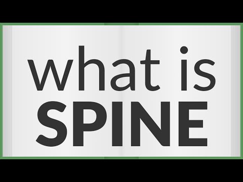 Spine | meaning of Spine