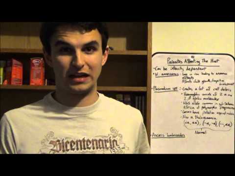 Parasites Affecting The Host - Benito's Explanations