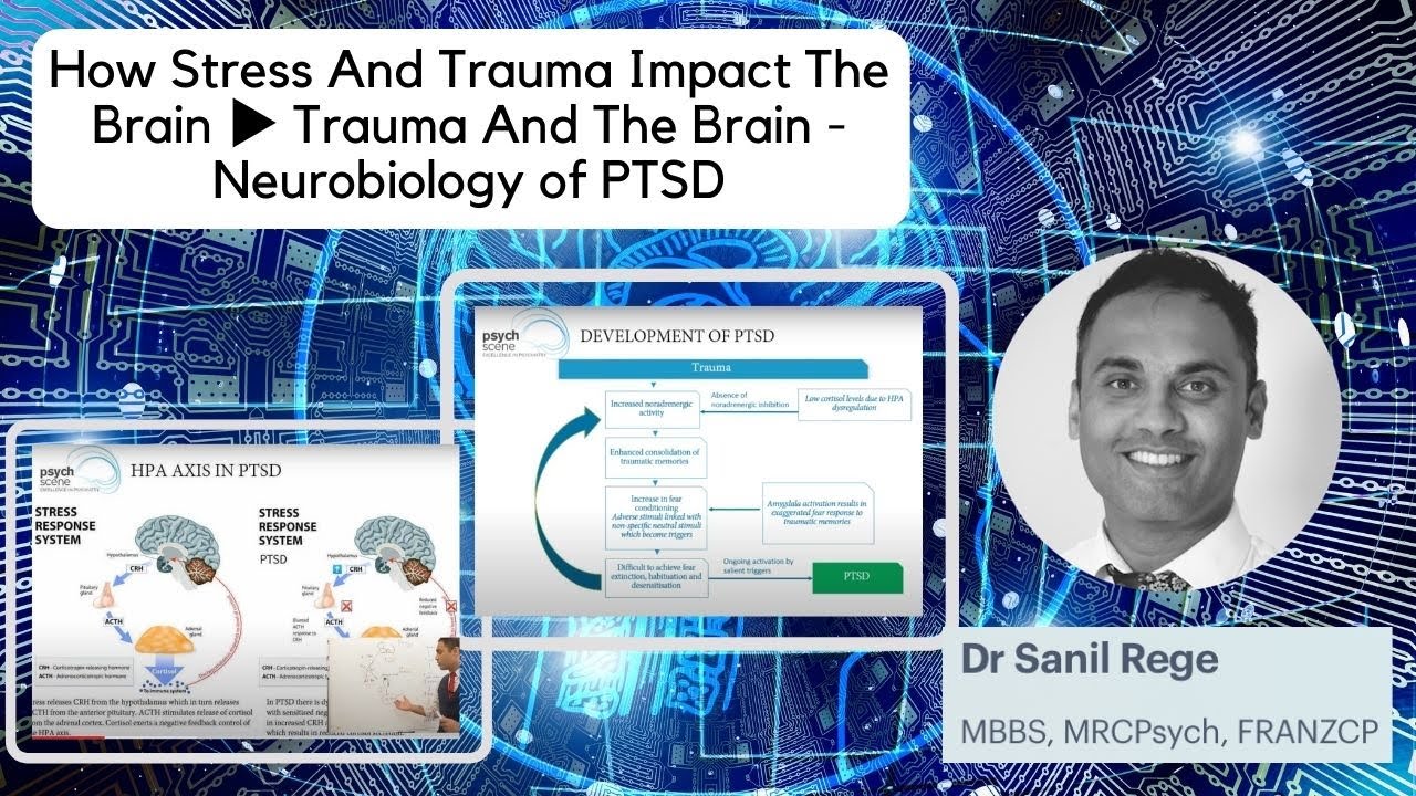 How Stress And Trauma Impact The Brain ▶ Trauma And The Brain - Neurobiology of PTSD 2020