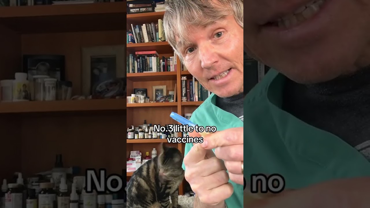 To 5 Cat Care Tips from a Holistic Veterinarian’s point of view