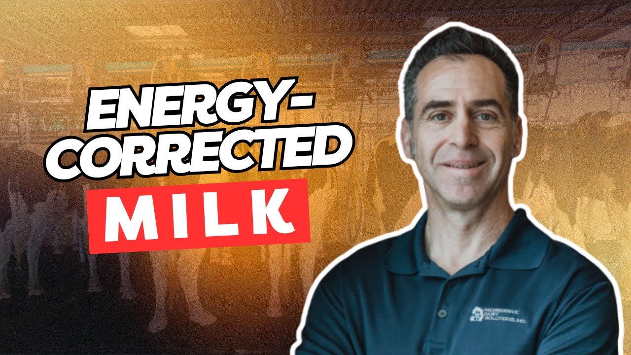 Dr. Enrique Schcolnik: Feed Efficiency Tips