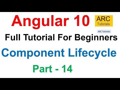 Learn Angular 10 Tutorial 14 Component Lifecycle Hooks | Angular 10 Tutorial For Beginners ...