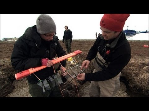 Field Work: Measuring Aquatic Vegetation in Wapusk National Park