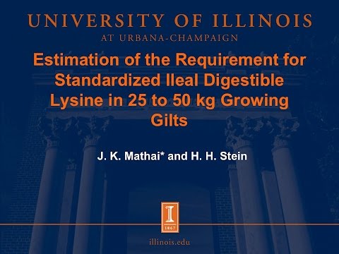 Estimation of the requirement for standardized ileal digestible lysine in 25 to 50 kg growing gilts