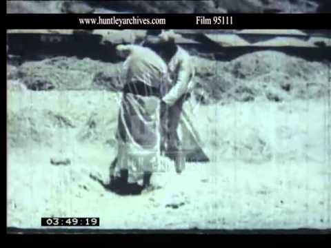 Arabs Growing Cereal Crops, 1938 - Film 95111