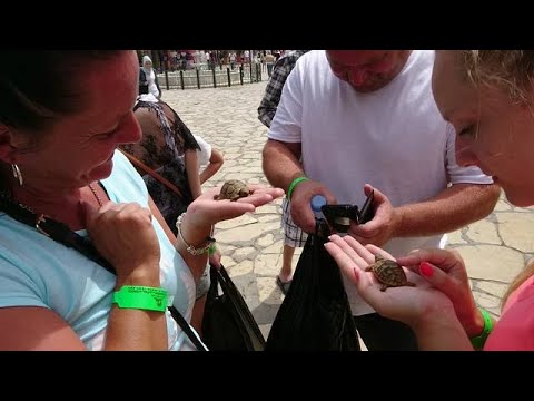 βββ Walk by bazaar in Medina de Sousse Tunisia