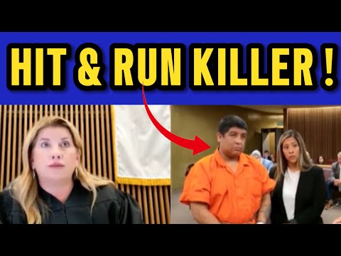 Fatal Hit & Run Killer: Illegal Immigrant Claims He'Didn't Know