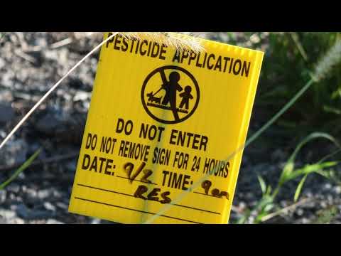 Katherine Street Habitat Restoration Project