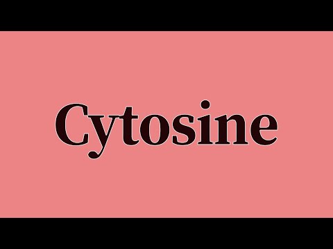 Cytosine Pronunciation and Meaning