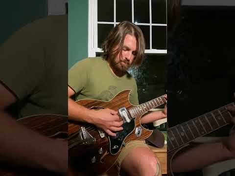 1960s Greco 920 Semi-Hollow Rosewood MIJ | Reverb