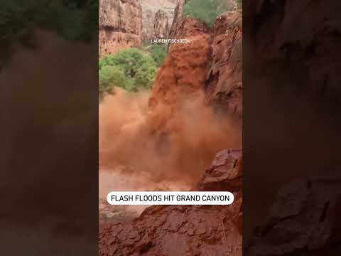 Hikers airlifted from Grand Canyon as area swells with flash flooding