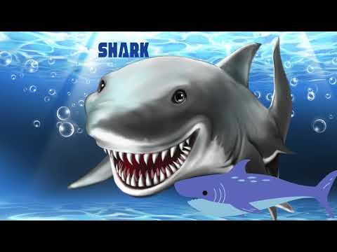 Discovering Water Animals