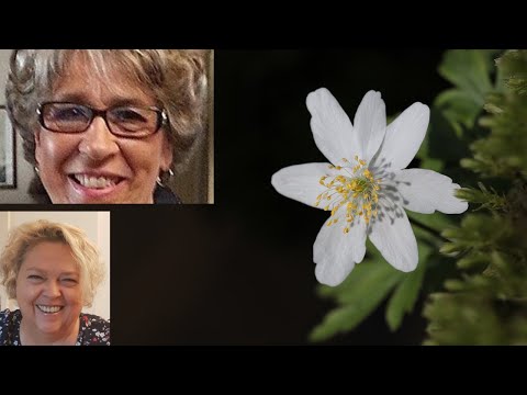 MONIQUE MATHIEU INVITÉE SUR LA CHAINE DE KATIA MEDIUM – Spiritualité ...