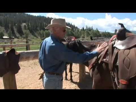 Horseback Riding at the 4UR Ranch in Creede, Colorado