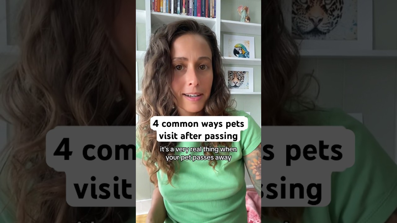4 ways deceased pets visit us after death #petparent