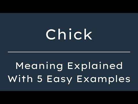 What Does Chick Mean? Chick Meaning in English With 5 Example Sentences