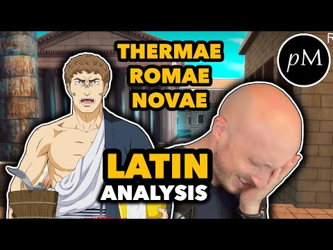 Thermae Romae Novae: How is the Latin?