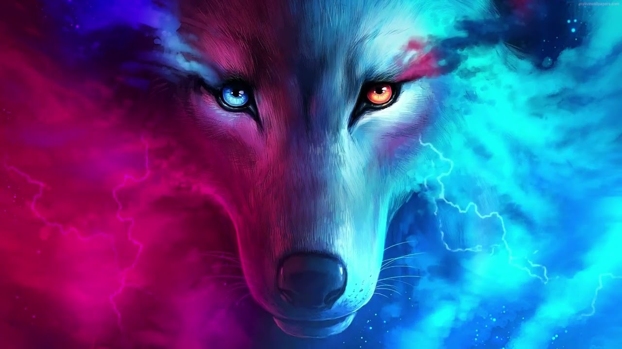 livewallpaper wolf