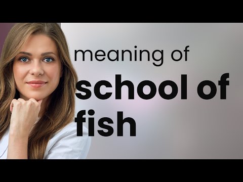 Understanding the Phrase "School of Fish": An English Language Learning Guide
