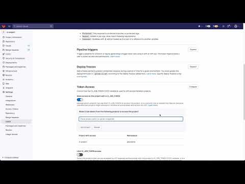 Allow access to your project with a job token