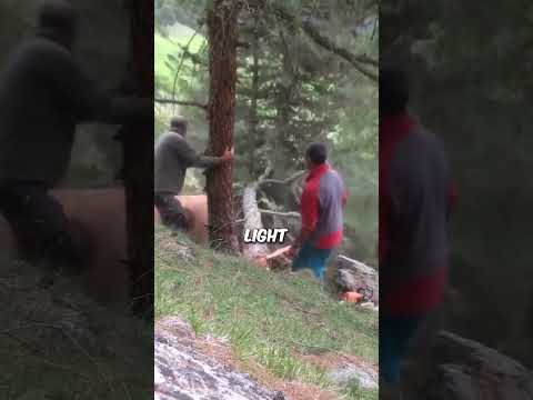 Two men were working hard to free a horse #friendship #animals #animation #fishing #wildlife