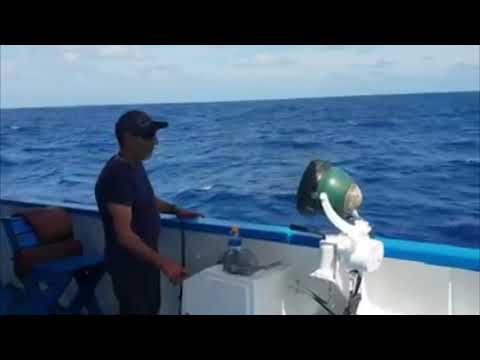 Fishing captain commanding the maneuvers for the tuna catch process with the purse seine