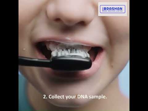 3 How to Perform an At Home DNA Test